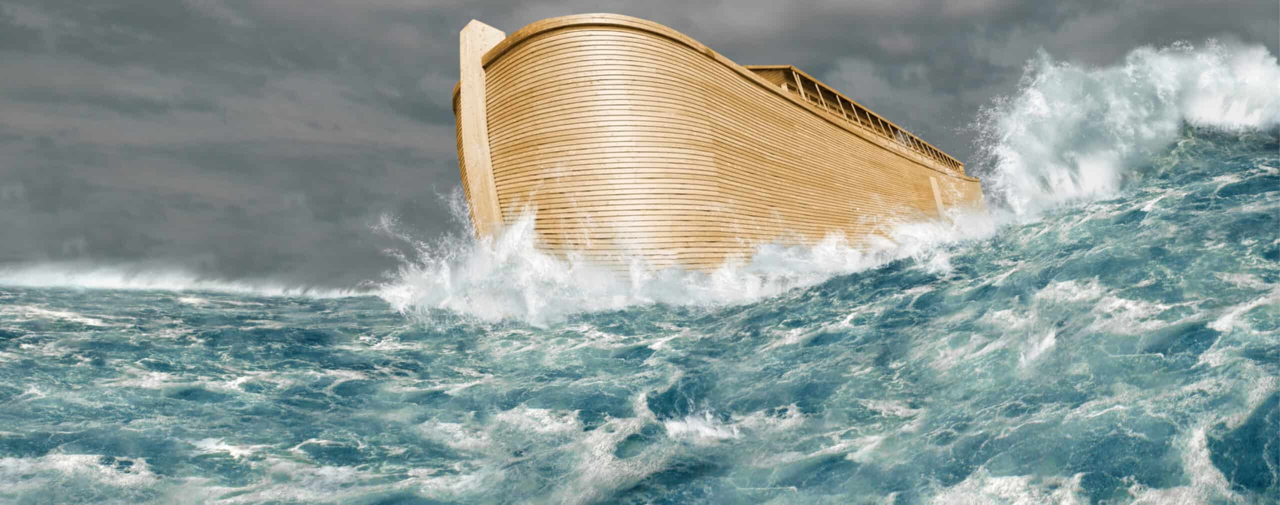 If you build it, will they come? - The TRADE