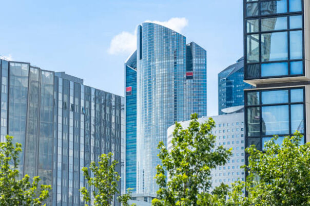 The new kid on the block - a closer look at ‘Bernstein' - The TRADE